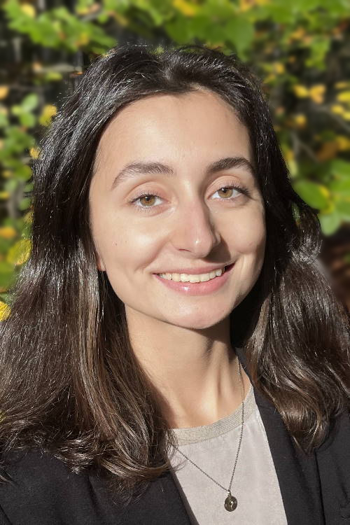 Mein Liblar - Über uns